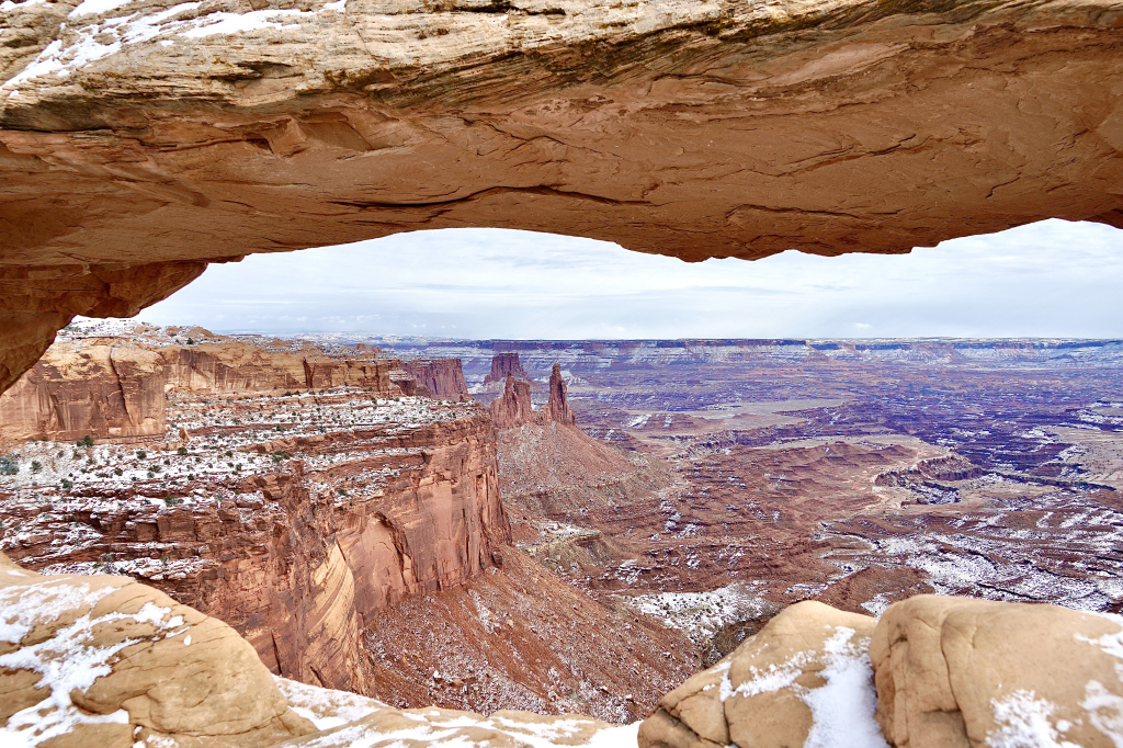 Looking ahead to spring – The Higher Flyer
